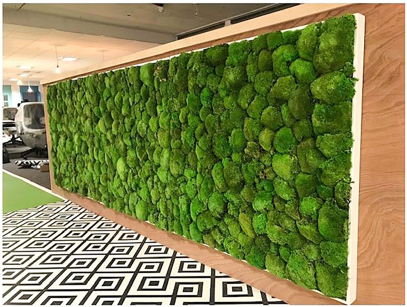 Bespoke Indoor Moss Walls For Sale | Livingreen Design | Livingreen Design