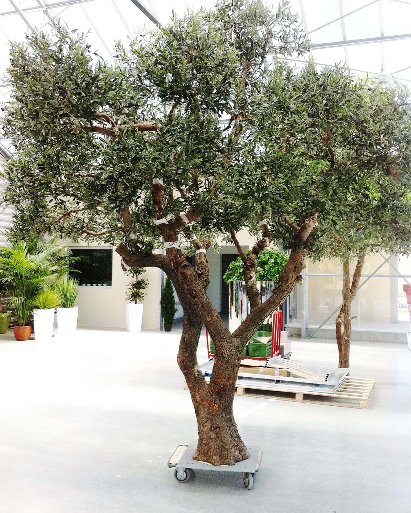 Realistic Commercial Artificial Trees | Livingreen Design