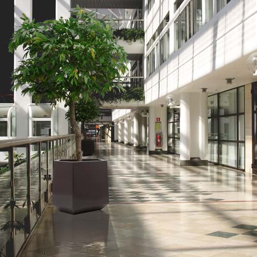 Realistic Commercial Artificial Trees | Livingreen Design