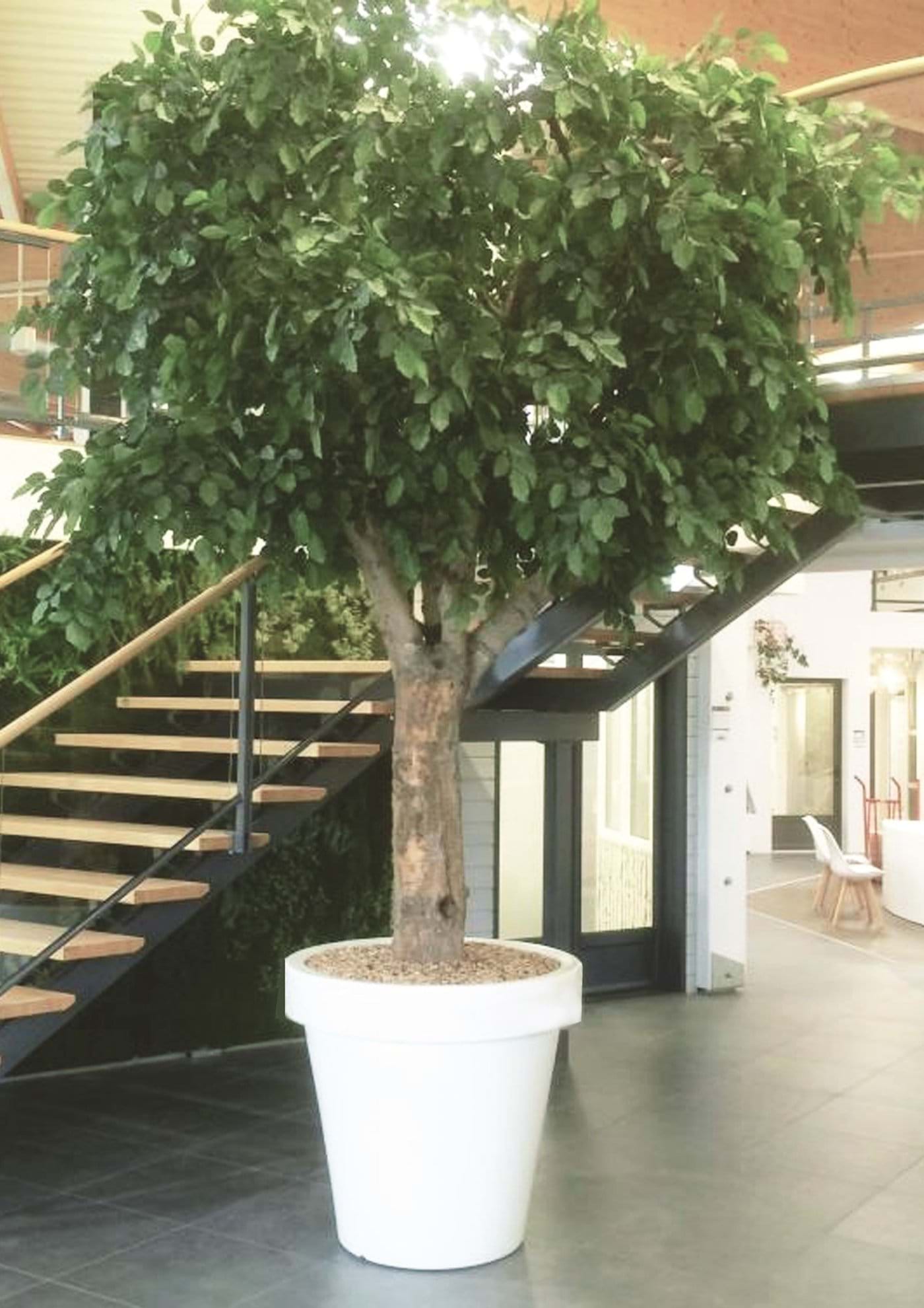 Realistic Commercial Artificial Trees | Livingreen Design