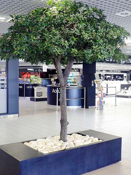Realistic Commercial Artificial Trees | Livingreen Design