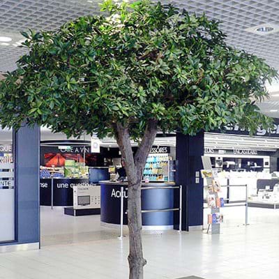 Realistic Commercial Artificial Trees | Livingreen Design