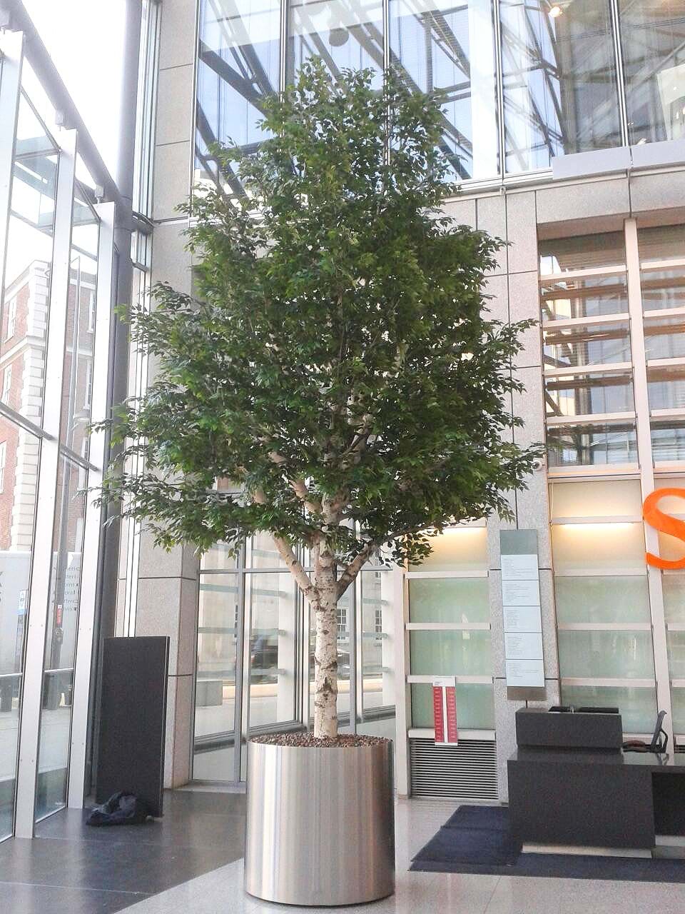 Realistic Commercial Artificial Trees | Livingreen Design