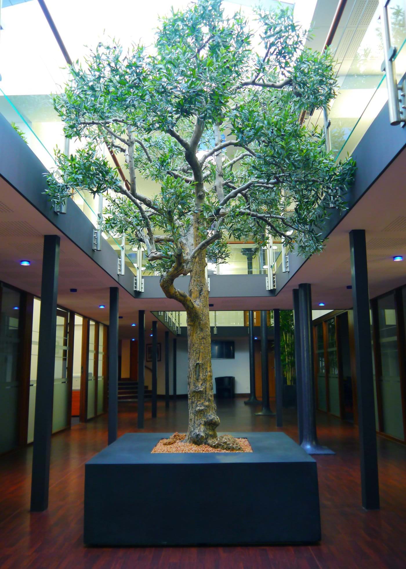 Realistic Commercial Artificial Trees | Livingreen Design