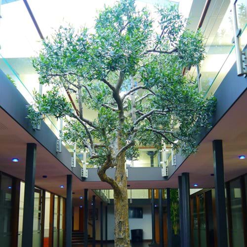 Realistic Commercial Artificial Trees | Livingreen Design