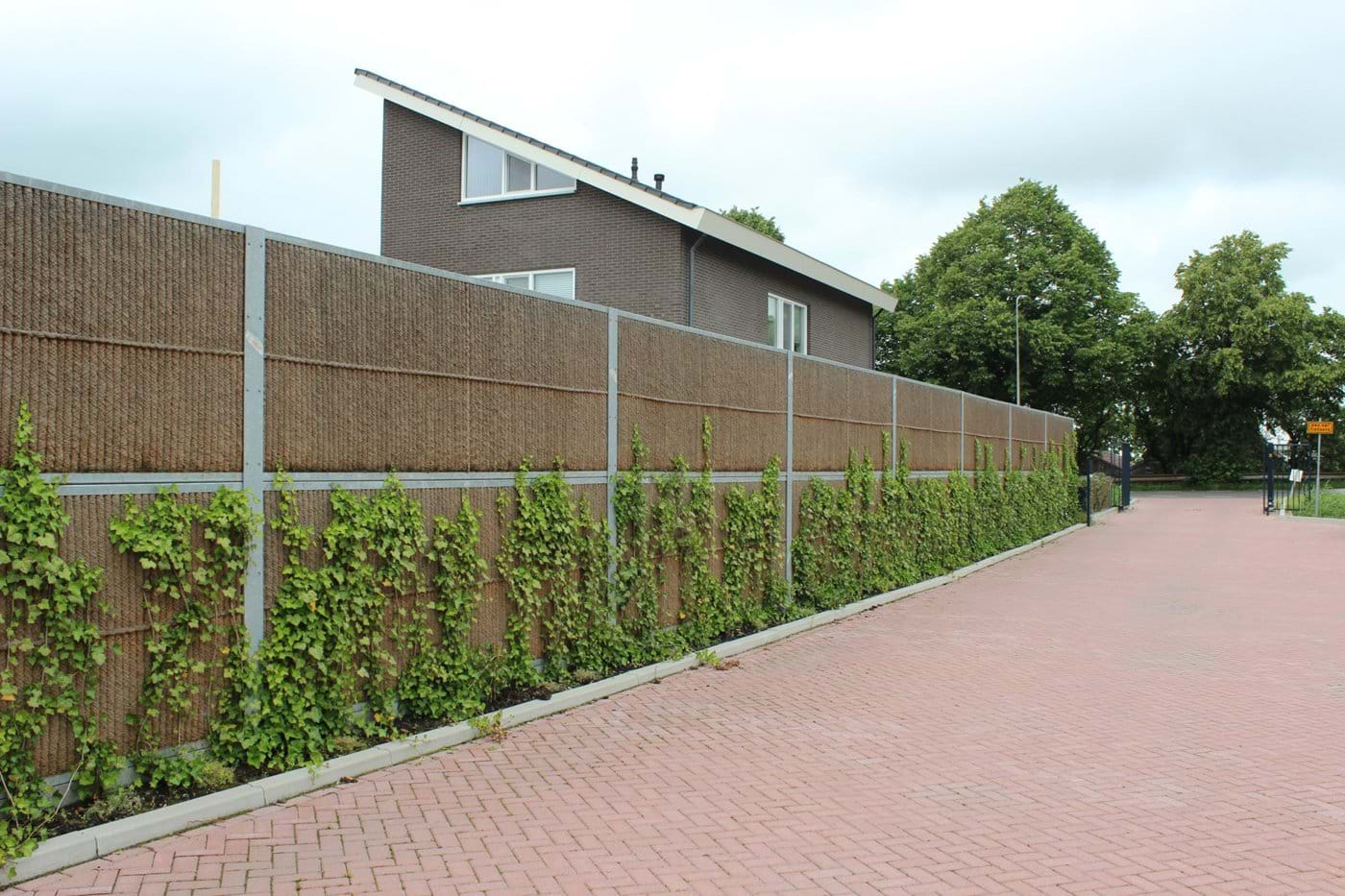 Greenscreen Standard | Livingreen Design