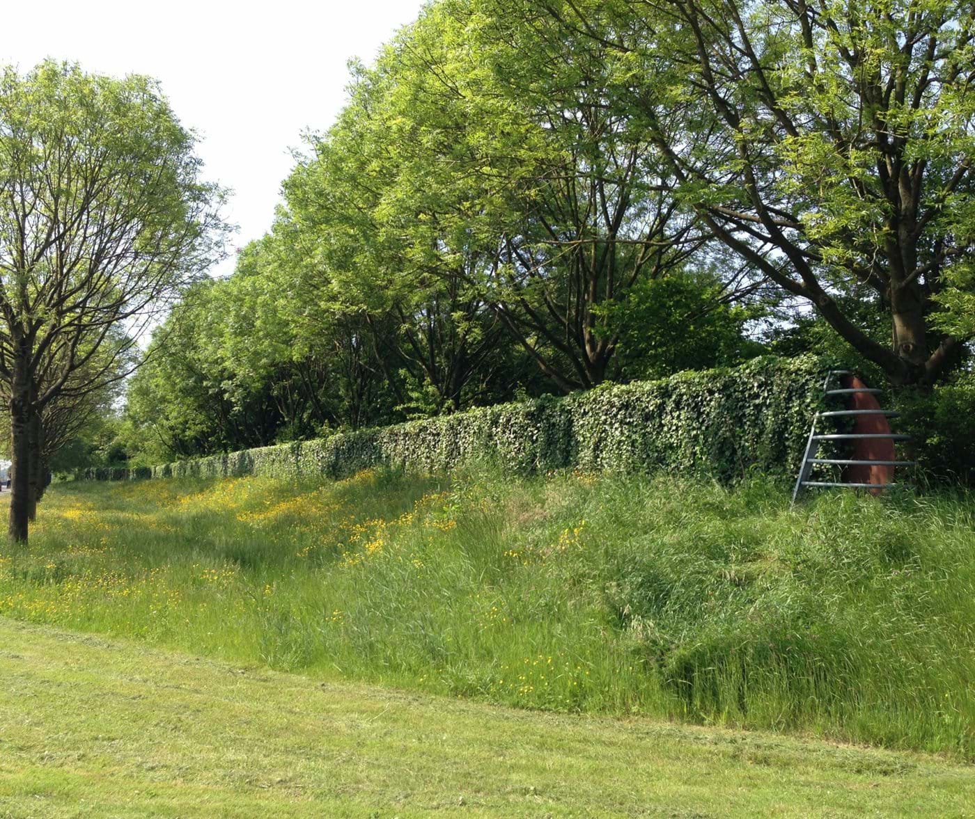 Greenscreen Standard | Livingreen Design