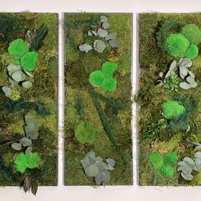 Preserved Moss | Livingreen Design