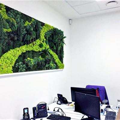 Preserved Moss | Livingreen Design