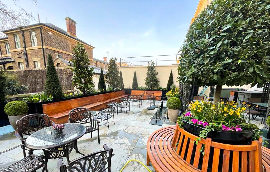 Bespoke Fibreglass Planters for Terrace | Livingreen Design