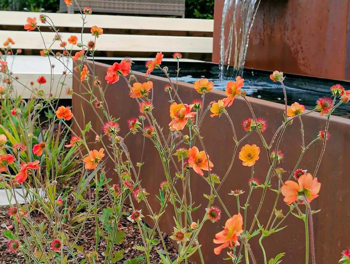 Rustic Water Feature and Planters | Livingreen Design